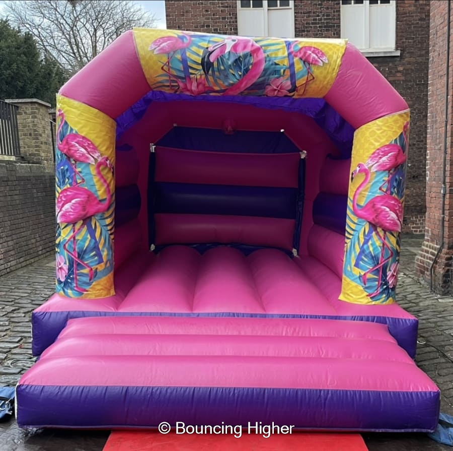 Flamingo Bouncy Castle - Bouncy Castle and Soft Play Hire in Gravesend ...